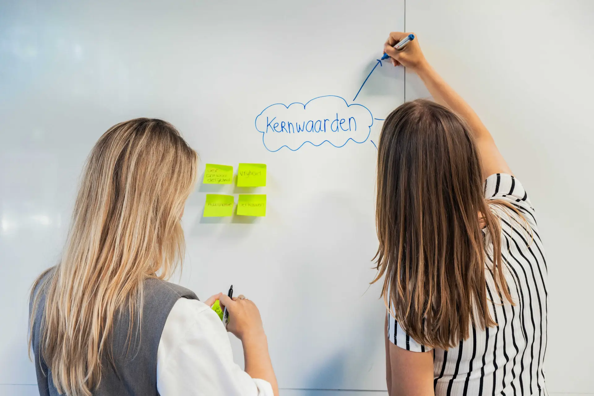 Ontwikkelprogramma's - Frisse Blikken