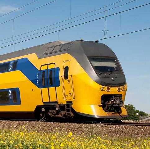 Ondersteuning portfoliomanagement - Frisse Blikken